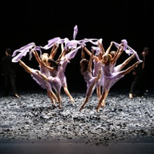 Malandain Ballet Biarritz le 11/05/2027 20:30 - Le Pin Galant | Billets