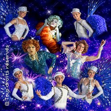 Spectacle Nello la Belle Vie - Métamorphoses à Tours, Espace Ligéria ...